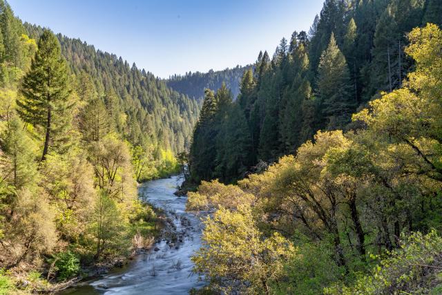 North Yuba Landscape Resilience Project EIS | SE Group